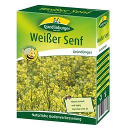 Quedlinburger Wei&szlig;er Senf Gr&uuml;nd&uuml;nger 500 g