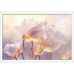 Pro Art Pro-Art Kunstdruck Framed-Art oversized 'Flowers' 130 x 90 cm gerahmt