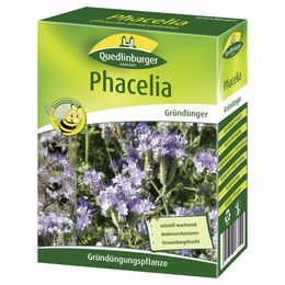 Quedlinburger Phacelia Gr&uuml;nd&uuml;nger 300 g