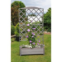 Promadino Rankkasten 'Botanica' grau 110 x 210 x 32 cm