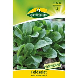 Quedlinburger Feldsalat 'Verte &agrave; coeur plein 2'