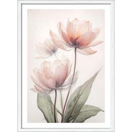 Pro Art Pro-Art Kunstdruck Framed-Art Scandic Style 'Flowers X' 53 x 73 cm gerahmt