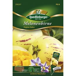 Quedlinburger Melonenbirne 'Pepino Dulce'