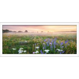 Pro Art Pro-Art Kunstdruck Framed-Art oversized 'Morning Haze' 130 x 60 cm gerahmt