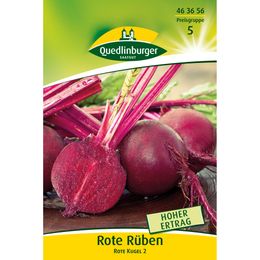 Quedlinburger Rote R&uuml;ben 'Rote Kugel 2'