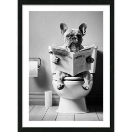Pro Art Pro-Art Kunstdruck Framed-Art Scandic Style 'Bulldogge' 53 x 73 cm gerahmt