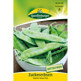 Quedlinburger Zuckererbsen 'Oregon Sugar Pod'