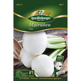 Quedlinburger Mair&uuml;ben 'Polar'