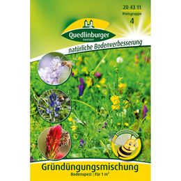 Quedlinburger Gr&uuml;nd&uuml;ngungsmischung 'Bodenspezi'