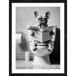 Pro Art Pro-Art Kunstdruck Framed-Art Slim Scandic 'Bulldogge' 33 x 43 cm gerahmt