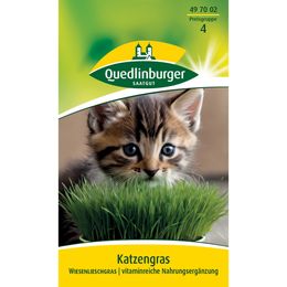 Quedlinburger Katzengras 'Wiesenlieschgras'