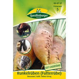Quedlinburger Runkelr&uuml;ben 'Brigadier'