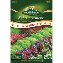 Quedlinburger Salatsortiment Saatband 6 m
