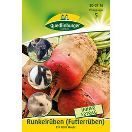 Quedlinburger Runkelr&uuml;be 'Typ Rote Walze'