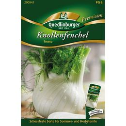 Quedlinburger Knollenfenchel 'Fenno'
