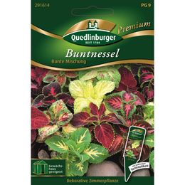 Quedlinburger Buntnessel Mischung