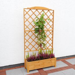 Promadino Rankkasten 'Botanica' braun 110 x 210 x 32 cm