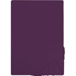 Spannbettlaken Biberna "Leila", lila (dunkelviolett), L:200cm, Jersey, Obermaterial: 100% Baumwolle, Bettlaken, Spannbettlaken, Bettlaken aus 100% Baumwolle, f&uuml;r Matratzenh&ouml;hen bis 22 cm