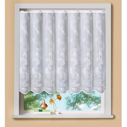 Scheibengardine Stickereien Plauen "Scheibengardine Modena", wei&szlig;, B:128cm H:95cm, Polyester, Polyester, Gardinen, echte Plauener Stickerei