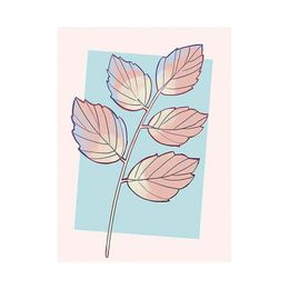 Bild Komar "Cinderella Plant", bunt (farbe bild(er): bunt), B:30cm H:40cm, Holz, Papier, Bilder, Bild, Wandbild zur Dekoration im Kinderzimmer - ohne Rahmen