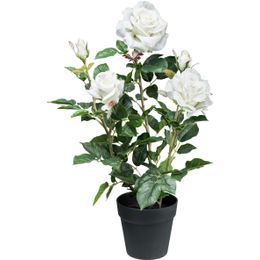 Kunstblume Creativ green "Rosenbusch", wei&szlig;, H:58cm, Kunstpflanzen, mit 3 Bl&uuml;ten und 2 Knospen