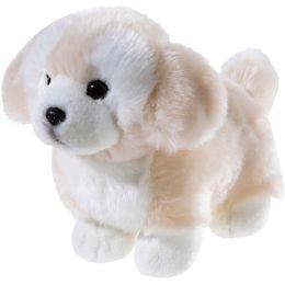 Kuscheltier Heunec "Misanimo, Short legs club, Terrier", beige, Pl&uuml;schfiguren, KinderB:19cm H:23cm, Kuscheltier, B:19cm H:23cm