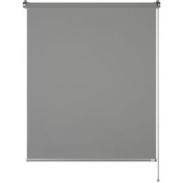 Sch&ouml;ner Wohnen Kollektion Seitenzugrollo "Tageslichtrollo Tizia", grau (anthrazit), B:100cm H:150cm, Polyester, SCH&Ouml;NER WOHNEN-KOLLEKTION, Rollos, Seitenzugrollo, geklebt, geklemmt, silberne oder wei&szlig;e Rollo-Technik