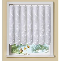 Scheibengardine Stickereien Plauen "Scheibengardine Modena", wei&szlig;, B:95cm H:35cm, Polyester, Polyester, Gardinen, echte Plauener Stickerei