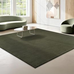 Teppich the carpet "kuschelig & Super Soft, Anti-Rutsch Unterseite", dunkelgr&uuml;n, B:240cm H:16mm L:240cm, Polyester, Teppiche, Teppich, Waschbar bis 30 Grad, Felloptik, Wohnzimmer Teppich, Kundenliebling