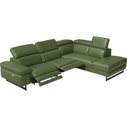 Ecksofa Egoitaliano "Candice, elegant, edel und bequem, erstklassiger Sitzkomfort, L-Form", gr&uuml;n (sprite), B:278cm H:100cm T:221cm, Leder &raquo;CAREZZA&laquo; (Rindsleder). Halbnarbiges Naturleder mit einer Dicke von 1, 2-1, 4 mm. Es hat eine weiche und wachsartige Hand mit halb undurchsichtigem Aussehen. CAREZZA ist ein Naturleder, das die urspr&uuml;nglichen Eigenschaften der M&auml;ntel nicht ver&auml;ndert. Das Vorhand