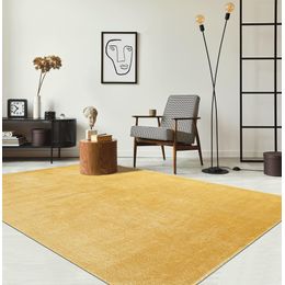 Teppich the carpet "kuschelig & Super Soft, Anti-Rutsch Unterseite", gold, B:60cm H:16mm L:110cm, Polyester, Teppiche, Teppich, Waschbar bis 30 Grad, Felloptik, Wohnzimmer Teppich, Kundenliebling