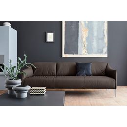 3-Sitzer W.Schillig "sally Design-Sofa, Loungesofa, bequem, schmale Armlehnen, Breite 224cm", braun (braun z59), B:224cm H:78cm T:84cm, Longlife Xtra-Leder Z59: Glattleder mit modischer Pr&auml;gung. Hautst&auml;rke 0, 9 - 1, 1 mm., Sofas, mit Metallf&uuml;&szlig;en in Bronze pulverbeschichtet, Breite 224 cm