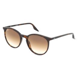 Ray-Ban RB2204 | Unisex-Sonnenbrille | Fassung: Vollrand, Panto, Acetat, Havanna | Glasfarbe: Braun