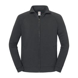 Fruit of the Loom Unisex Erwachsene Ikonische Premium Sweatjacke (Hellgrau)