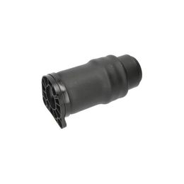 KAVO PARTS Luftfeder, Fahrwerk sas10021 Hinterachse f&uuml;r Mercedes