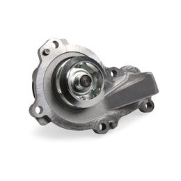 Hepu Wasserpumpe p909 f&uuml;r Opel Citro&euml;n/Peugeot TOYOTA
