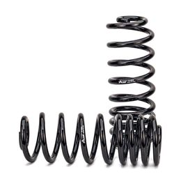 ARNOTT Fahrwerksatz, Federn c2987 hinten