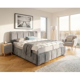 Polsterbett OTTO HOME "EVELLINA in der Gr&ouml;&szlig;e 180x200 cm, mit flauschigem Stoff bezogen", grau, B:203cm H:119cm L:220cm, Betten, Polsterbett, wahlweise mit Lattenrost und King-Matratze (28cm)