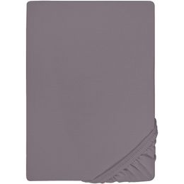 Spannbettlaken Biberna "Conny", grau (silbergrau), 1 Stk., Jersey-Elasthan, 90-100x190-220 40cm, Jersey-Elasthan, Obermaterial: 95% Baumwolle, 5% Elasthan, Bettlaken, Spannbettlaken, hochwertiges Jersey-Elasthan geeignet f&uuml;r Wasser- und Boxspringbetten