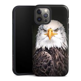 DeinDesign iPhone 12 Pro Max Handy Panzer Handyh&uuml;lle robuste Outdoor H&uuml;lle Schutzh&uuml;lle gl&auml;nzend Animals Eagle Bird Tough Case