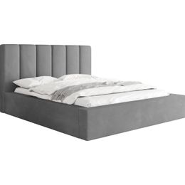 POLSTERBETT Amira mit Bettkasten, Grau Samt 120x200 cm