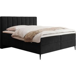 BOXBETT Allen mit Bettkasten, Samt Schwarz 120x200 cm &ndash; inkl. H4 Taschenfederkern Matratze & Foam Topper