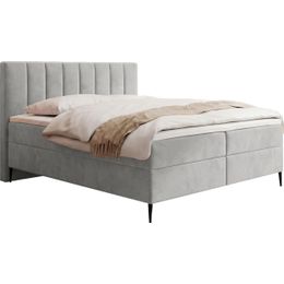 BOXBETT Allen mit Bettkasten, Samt Hellgrau 120x200 cm &ndash; inkl. H4 Taschenfederkern Matratze & Foam Topper