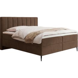 BOXBETT Allen mit Bettkasten, Samt Braun 120x200 cm &ndash; inkl. H4 Taschenfederkern Matratze & Foam Topper