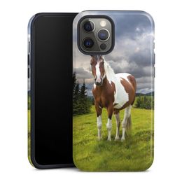 DeinDesign iPhone 12 Pro Max Handy Panzer Handyh&uuml;lle robuste Outdoor H&uuml;lle Schutzh&uuml;lle gl&auml;nzend Horse Nature Meadow Tough Case