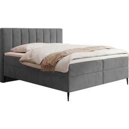 BOXBETT Allen mit Bettkasten, Samt Grau 120x200 cm &ndash; inkl. H4 Taschenfederkern Matratze & Foam Topper