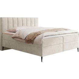 BOXBETT Allen mit Bettkasten, Samt Creme 120x200 cm &ndash; inkl. H4 Taschenfederkern Matratze & Foam Topper