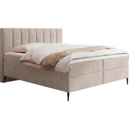 BOXBETT Allen mit Bettkasten, Samt Beige 120x200 cm &ndash; inkl. H4 Taschenfederkern Matratze & Foam Topper