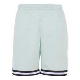 Shorts Karl Kani "Karl Kani Herren", Herren, Gr. M, US-Gr&ouml;&szlig;en, wei&szlig; (light gr&uuml;n), 100% Polyester, unifarben, loose fit, Hosen Shorts