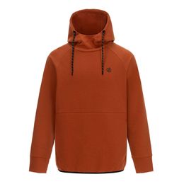 Dare 2b - "Ollie" Kapuzenpullover f&uuml;r Herren (Arabische Gew&uuml;rze)